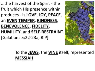 Fruit_More Fruit_Much Fruit | PPTX