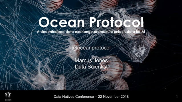 DN18 | Ocean Protocol – Empowering a Decentralized Marketplace for The New AI Ecosystem | Marcus ...