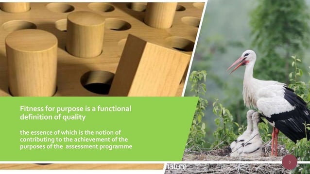 A model for programmatic assessment | PPTX