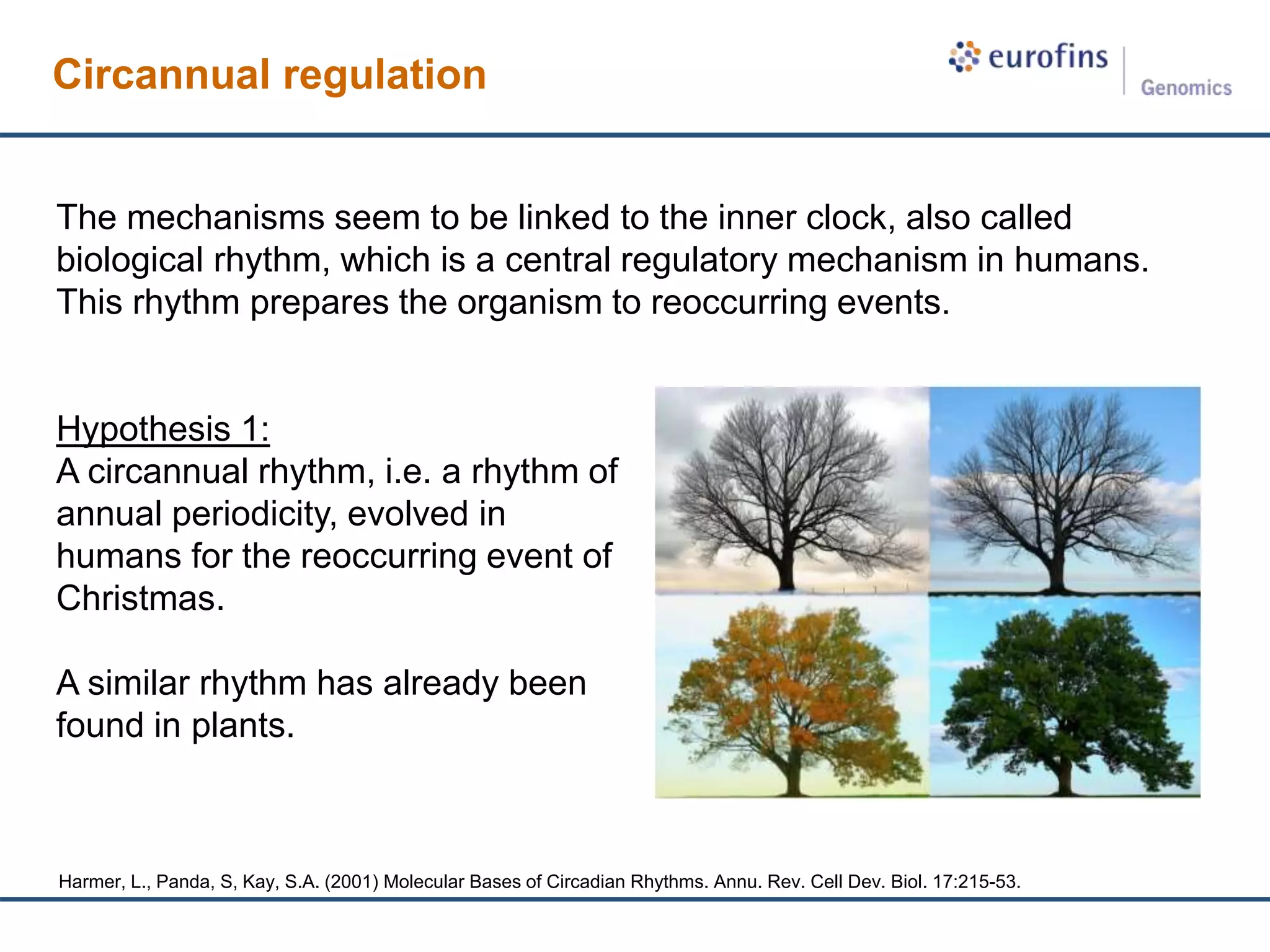 Biology of Christmas | PPSX