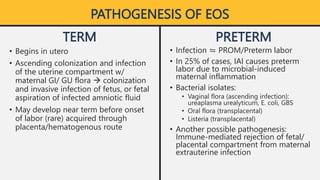 2018 AAP and 2021 NICE Guidelines for Neonatal Sepsis PPT.pptx