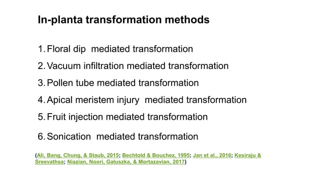 In-planta transformation: recent advances | PPTX | Biotech and ...