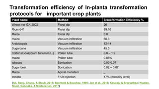 In-planta transformation: recent advances | PPTX