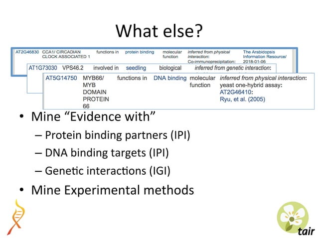TAIR ASPB 2018 Presentation | PPT
