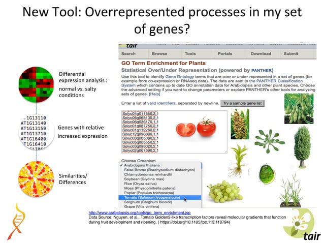 TAIR ASPB 2018 Presentation | PPT