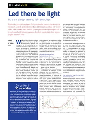 Led there be light | PDF