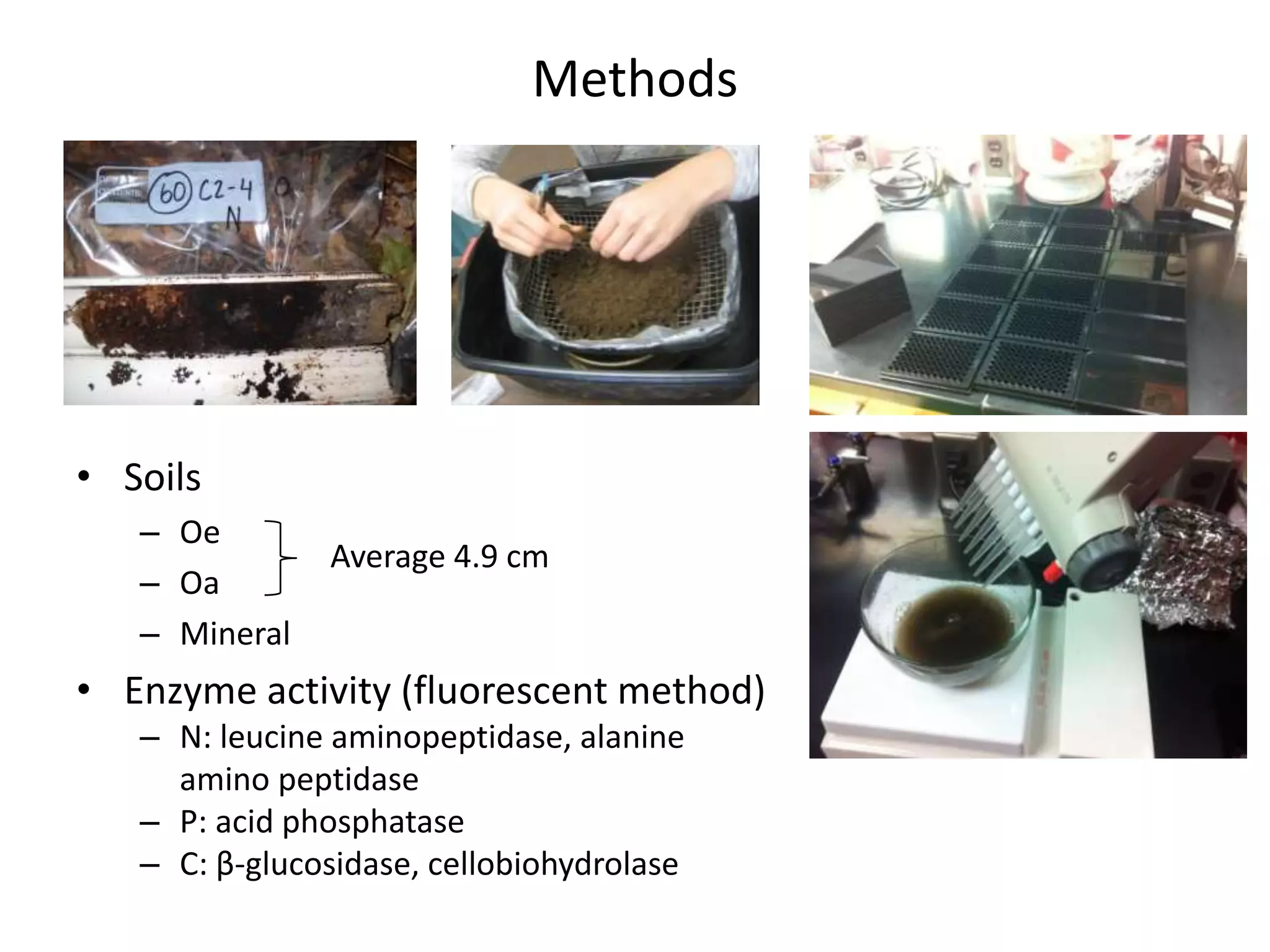 Soil Enzyme Activity Indicates P Limitation in northern hardwood forest ...