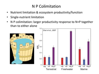 Soil Enzyme Activity Indicates P Limitation in northern hardwood forest ...