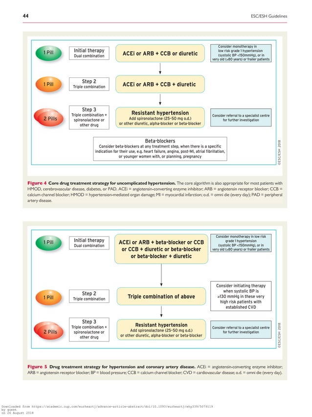 2018 esc esh guidelines for the management of arterial hypertension | PDF