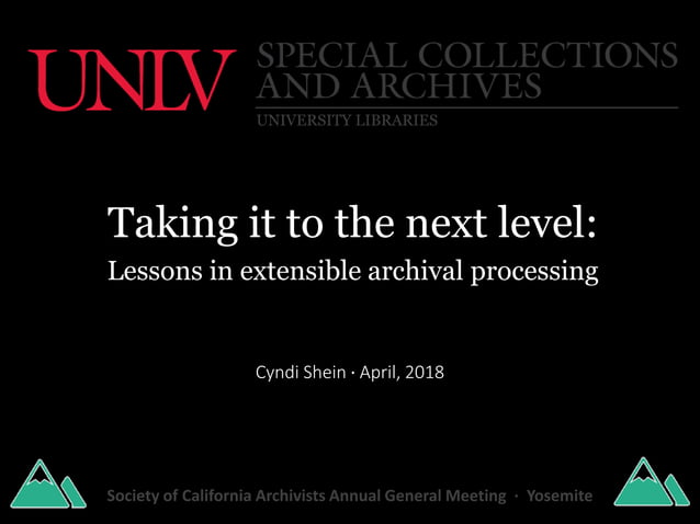 Taking it to the next level: Lessons in extensible archival processing ...