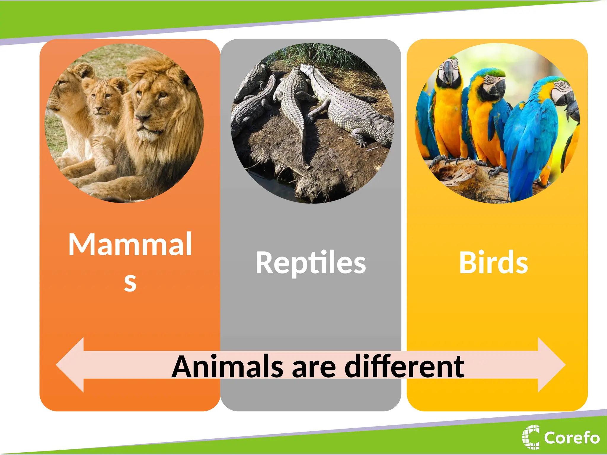 material ingles2p_u8_modal_verb_can.pptx