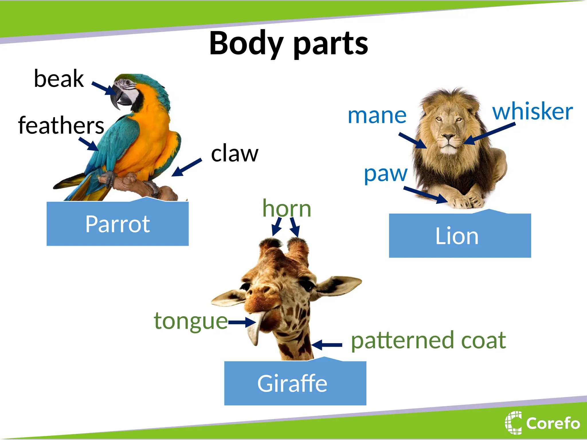 material ingles2p_u8_modal_verb_can.pptx