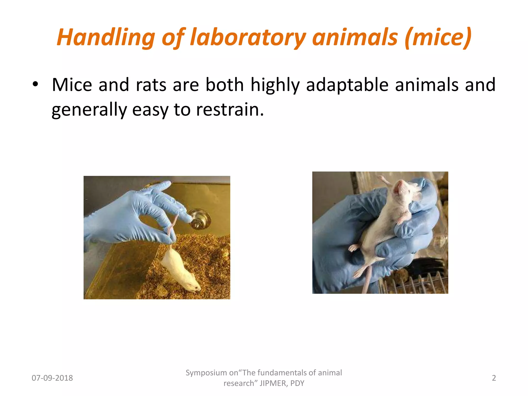 Blood sample collection in lab. animals | PPTX
