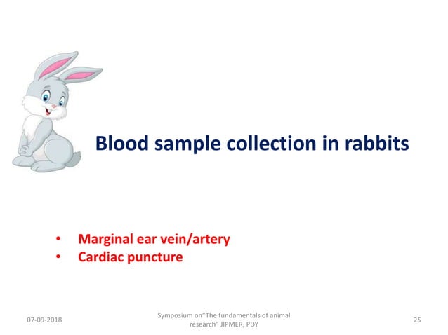 Blood sample collection in lab. animals | PPTX