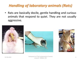 Blood sample collection in lab. animals | PPTX