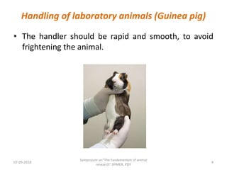 Blood sample collection in lab. animals | PPTX