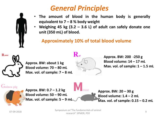 Blood sample collection in lab. animals | PPTX