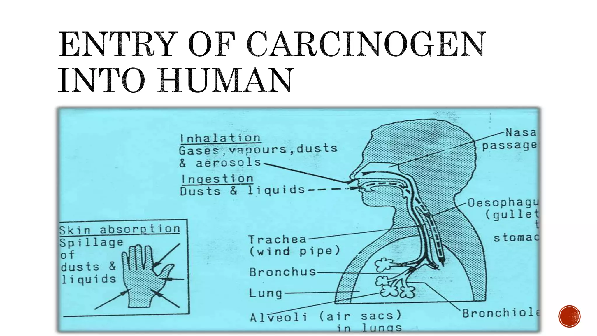Carcinogenic substances | PPTX