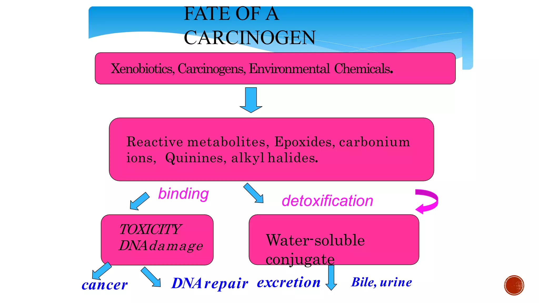 Carcinogenic substances | PPTX