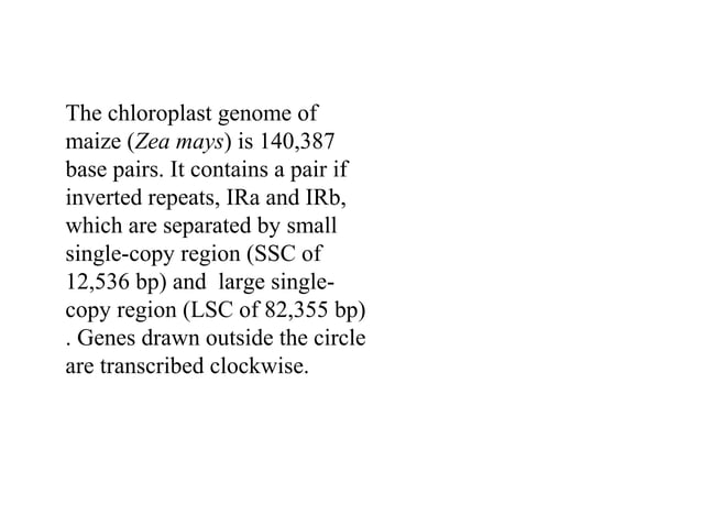 chloroplast genome ppt. | PPT | Genetics | Science