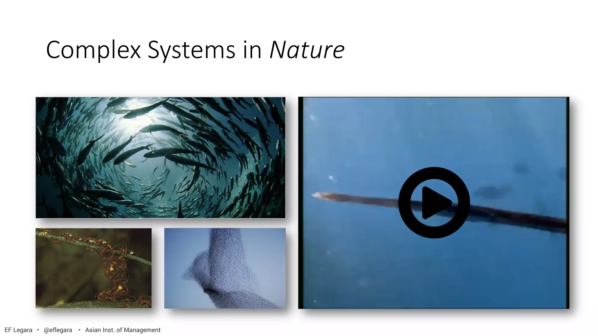 Why Python in Scientific Research? | PDF