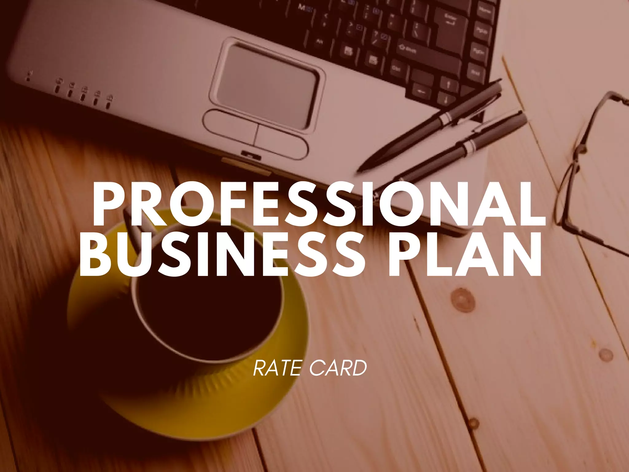 Professional Business Plan | PDF