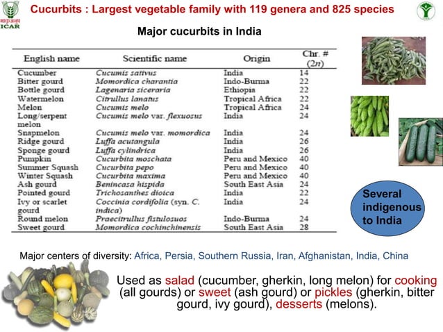 2018 ridge, bitter gourd, leafy veg seed production advances | PPTX | Gardening | Home & Garden