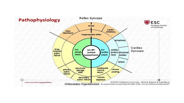 2018 Syncope Guidelines Official Slide-set for web.ppt