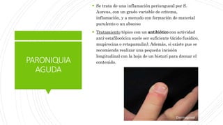 (2019 04-02)LESIONES DERMATOLOGICAS GUIA BASICA DE SUPERVIVENCIA(.PPT ...