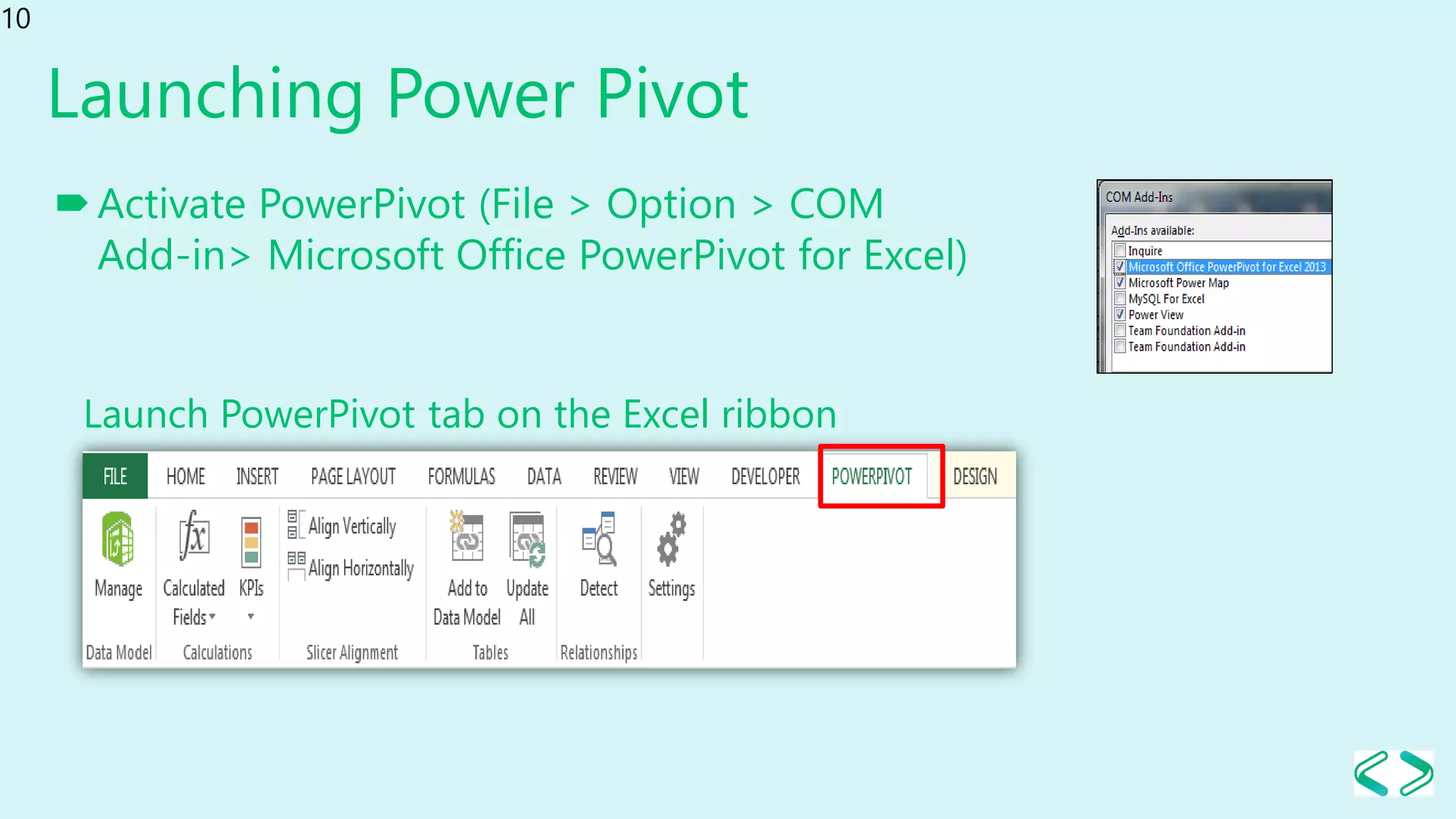 Building a Dashboard in an hour with Power Pivot and Power BI | PDF