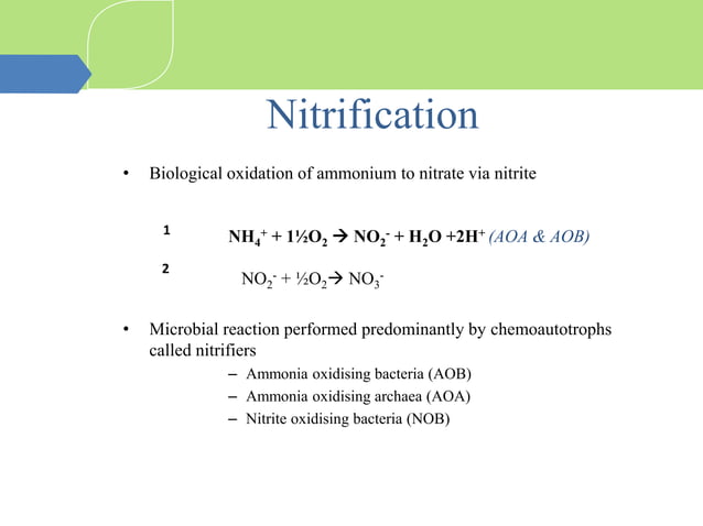 2019-05-02 - Brooke Kaveney - Nitrification inhibitors and soil pH ...