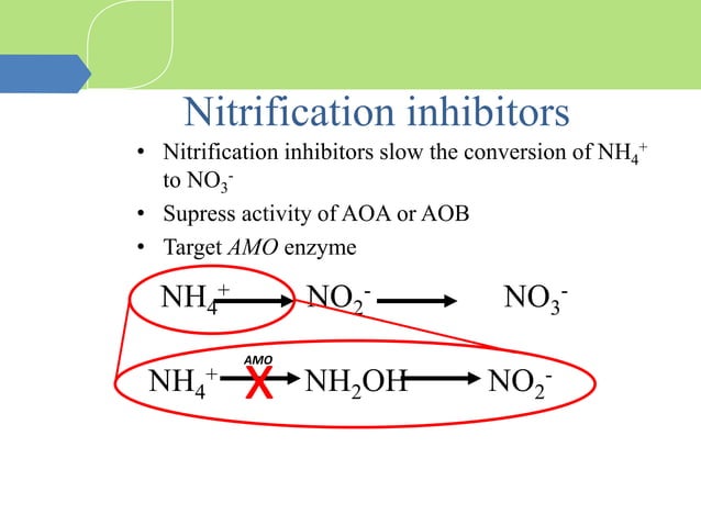 2019-05-02 - Brooke Kaveney - Nitrification inhibitors and soil pH ...