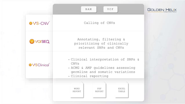 Introducing VSClinical AMP Guidelines: A Comprehensive Workflow for NGS ...