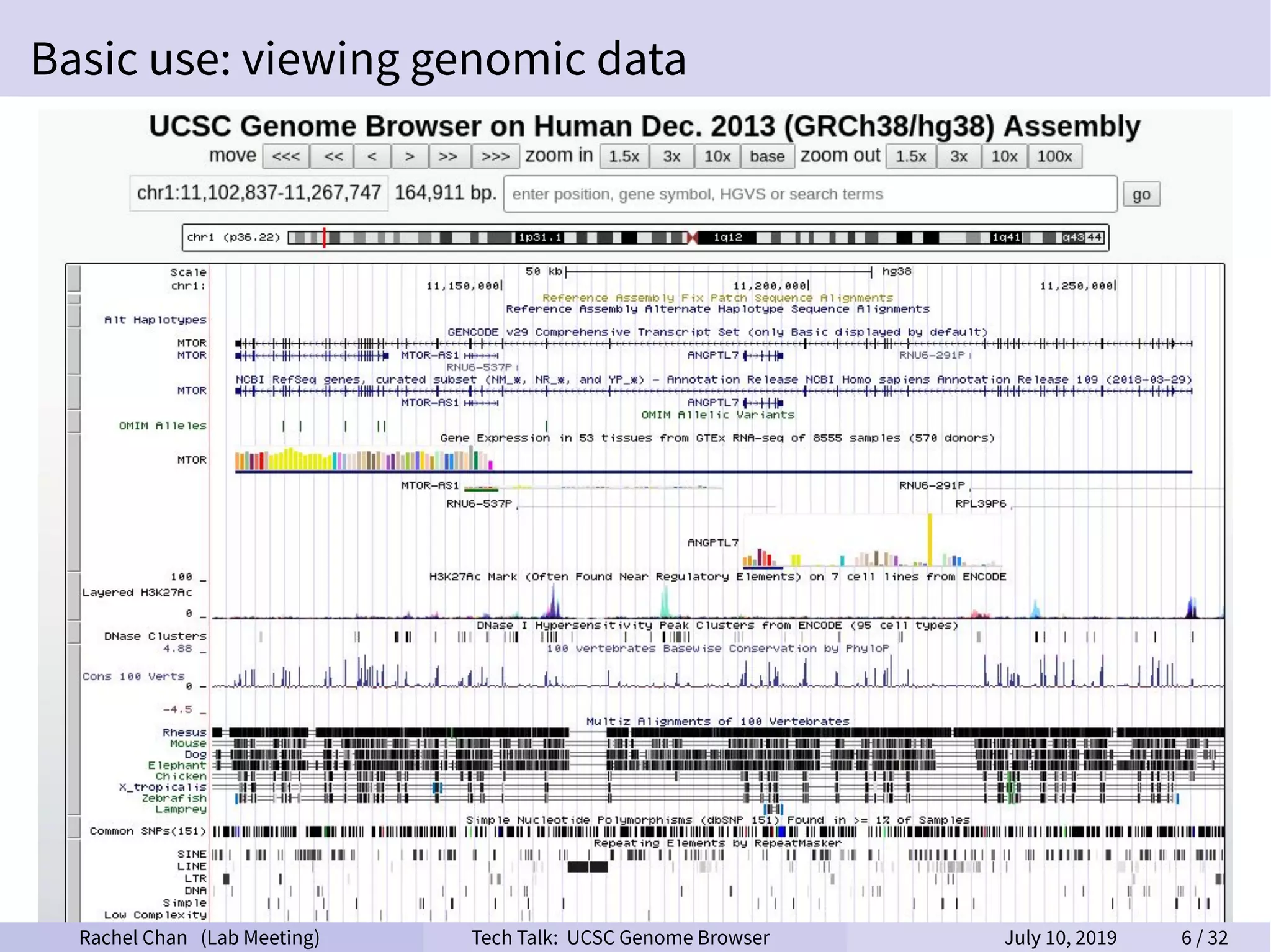 Tech Talk: UCSC Genome Browser | PDF