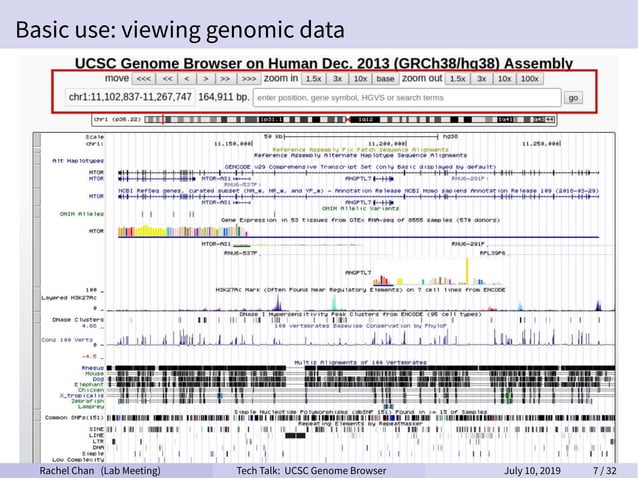 Tech Talk: UCSC Genome Browser | PDF | Genetics | Science