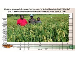 2019. jauhar ali. genomics assisted breeding for climate smart rice ...