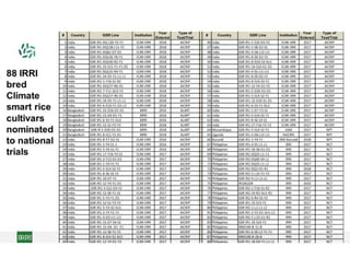 2019. jauhar ali. genomics assisted breeding for climate smart rice ...