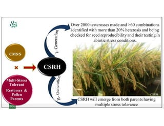 2019. jauhar ali. genomics assisted breeding for climate smart rice ...