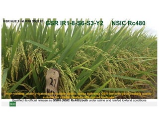 2019. jauhar ali. genomics assisted breeding for climate smart rice ...