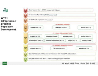 2019. jauhar ali. genomics assisted breeding for climate smart rice ...