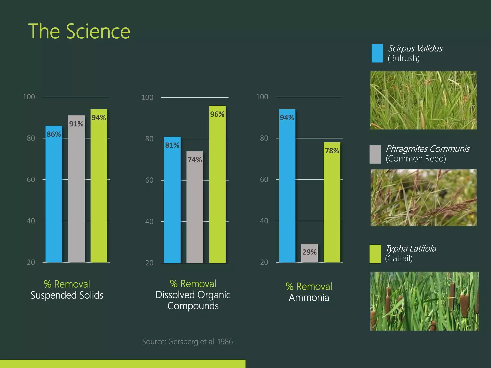 CWRA Presentation | PPT
