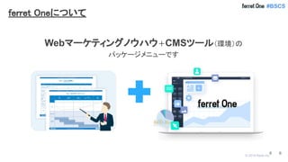 2019.0704 basic ferretone_csreport | PPT