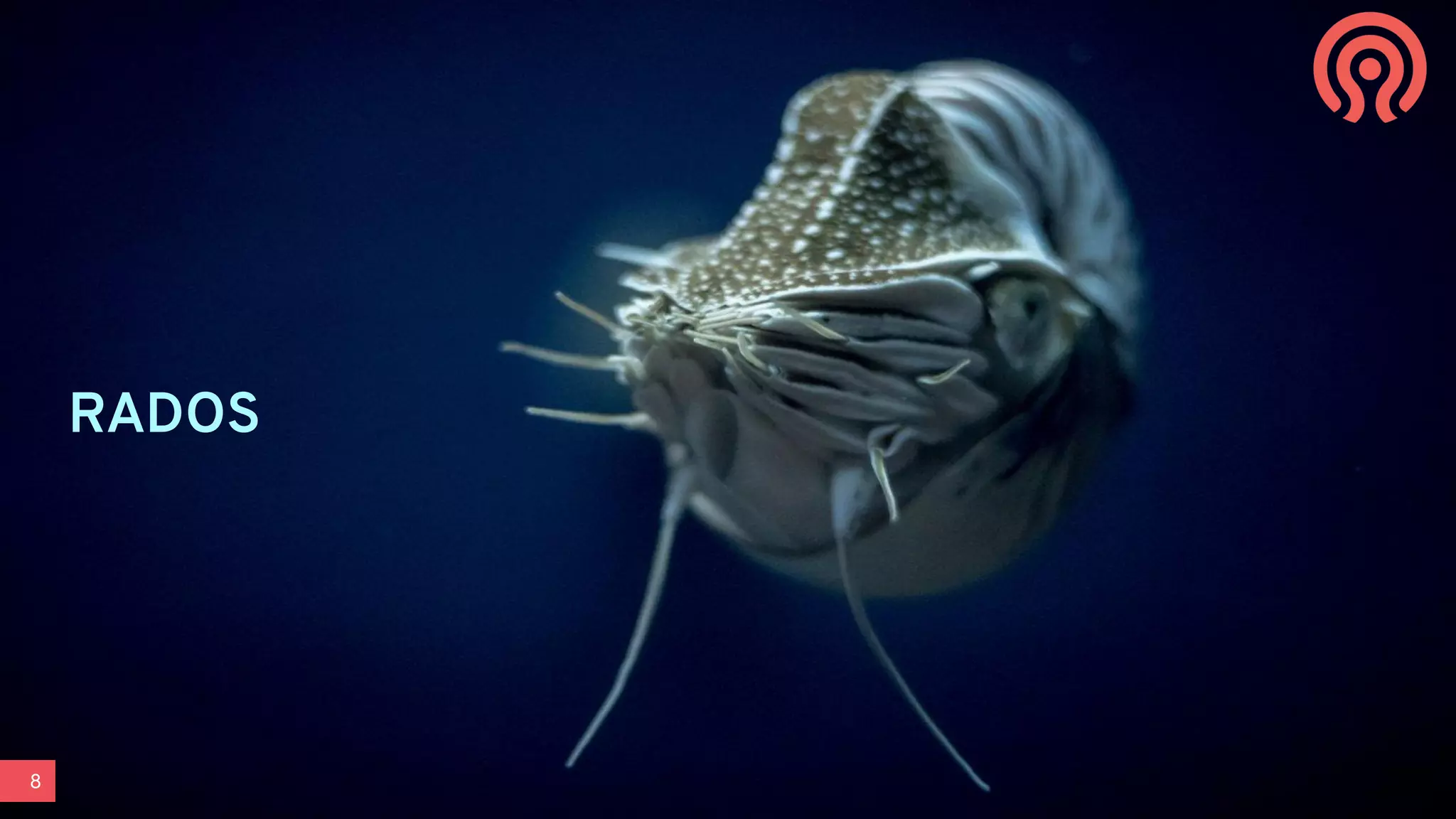 2019.06.27 Intro to Ceph | PDF