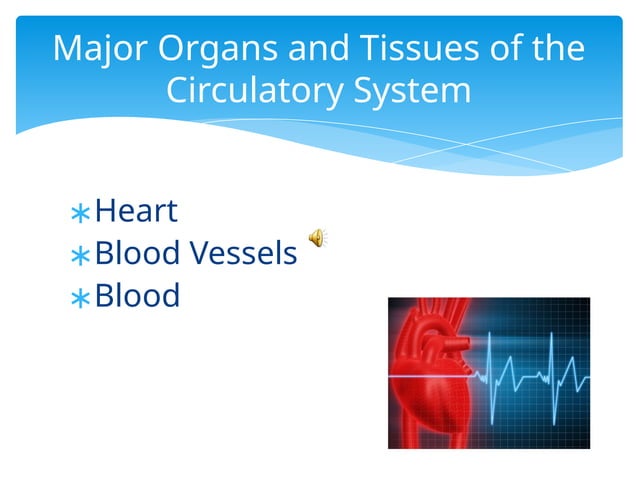 2019-2020 human circulatory system PPT.pptx