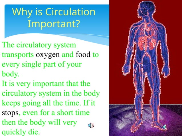 2019-2020 human circulatory system PPT.pptx