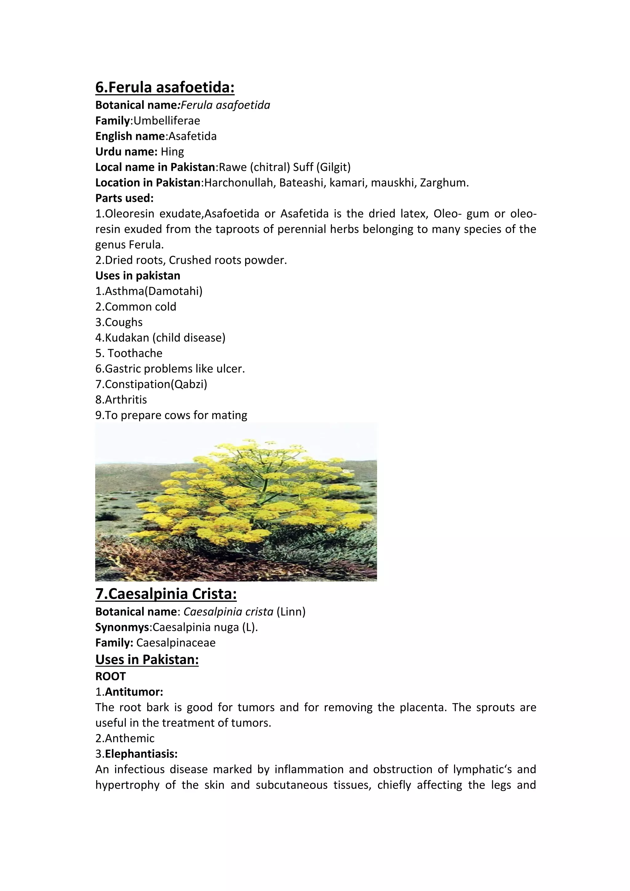 Biodiversity and conservation | PDF | Gardening | Home & Garden