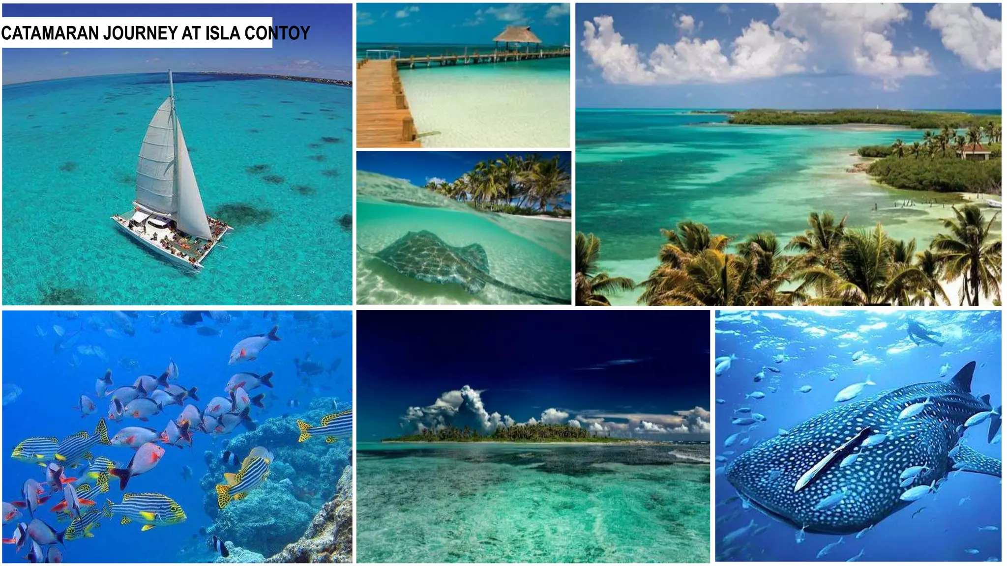 Consulting Maya | Company presentation | PPT