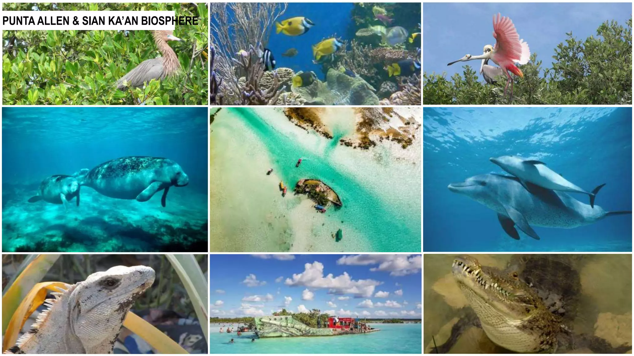 Consulting Maya | Company presentation | PPT