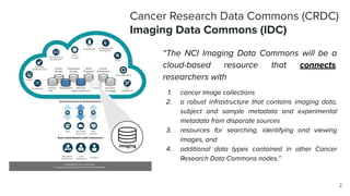 Imaging Data Commons (IDC) - Introduction and intital approach | PDF