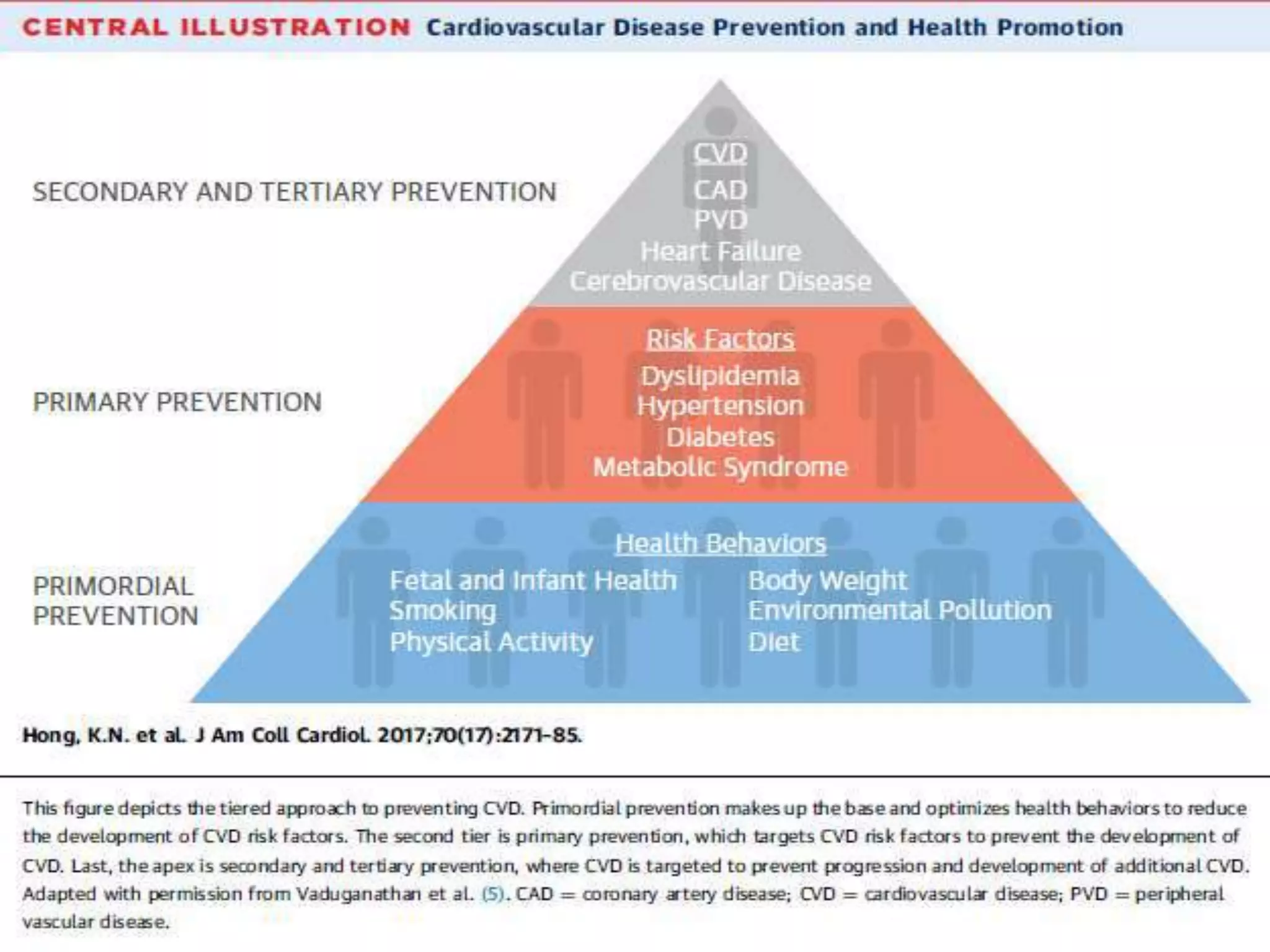 2019 cardio vascular disease prevention-guidelines | PPT